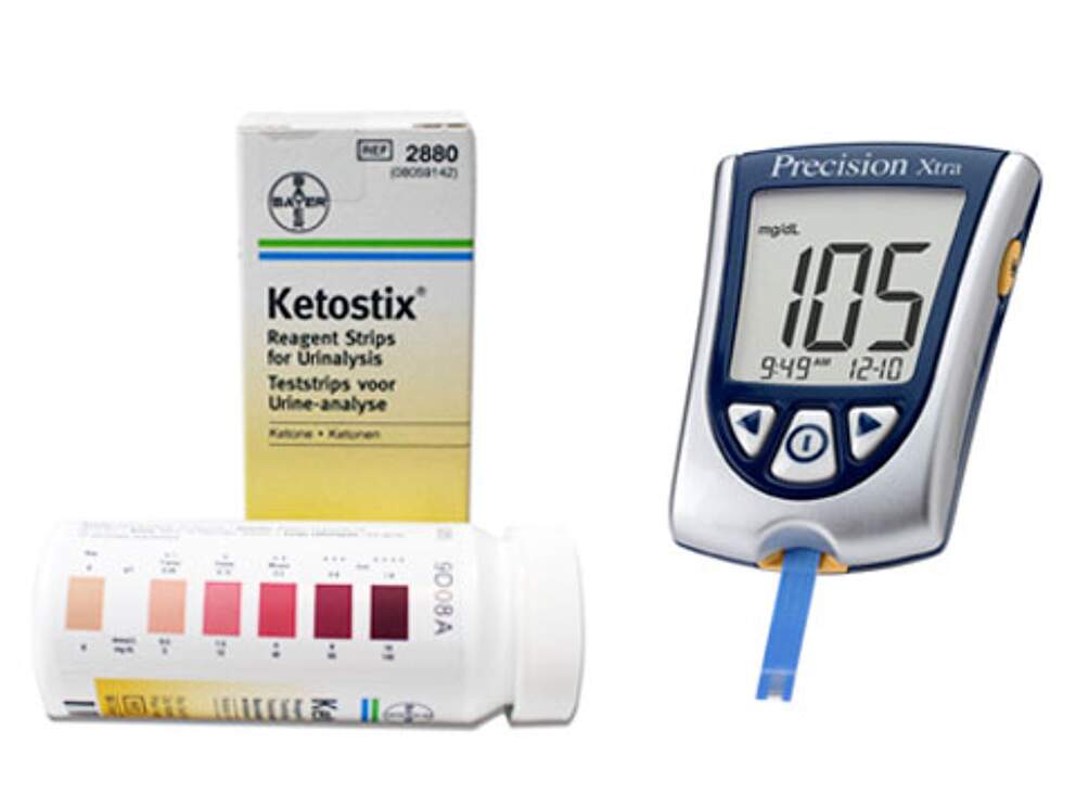Ketosis & Measuring Ketones: All You Need To Know | KetoDiet Blog