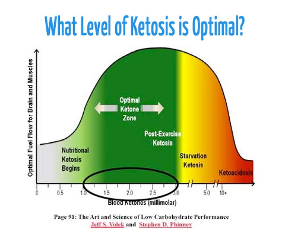 Ketosis And Measuring Ketones All You Need To Know Ketodiet Blog