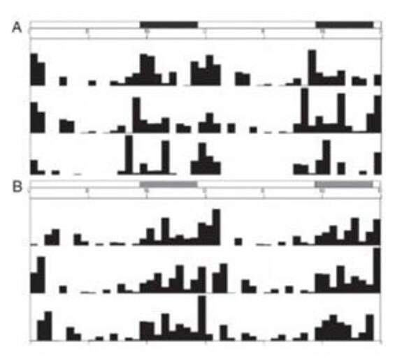 How Does Our Diet Affect Circadian Rhythms? | KetoDiet Blog