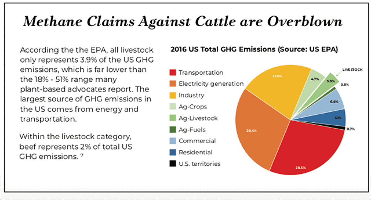 Is Meat Bad For the Environment? A Critical Review | KetoDiet Blog