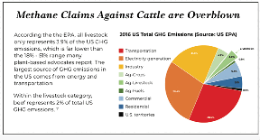 Is Meat Bad For the Environment? A Critical Review | KetoDiet Blog