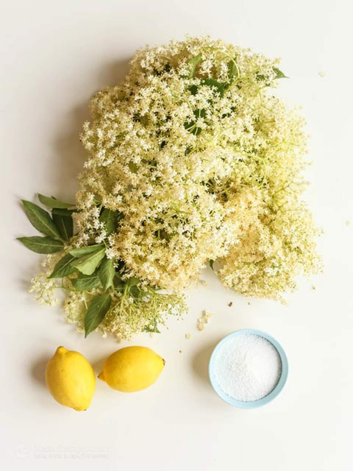 Sugar-Free Elderflower Cordial | KetoDiet Blog
