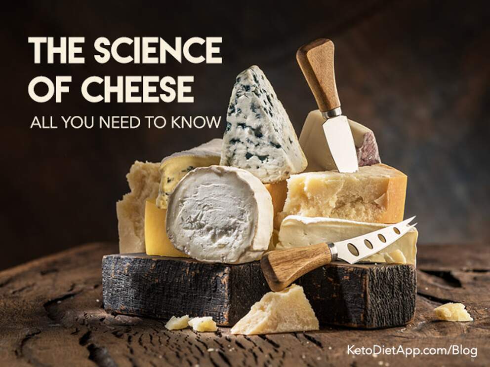 The Science of Cheese: All You Need To Know | KetoDiet Blog