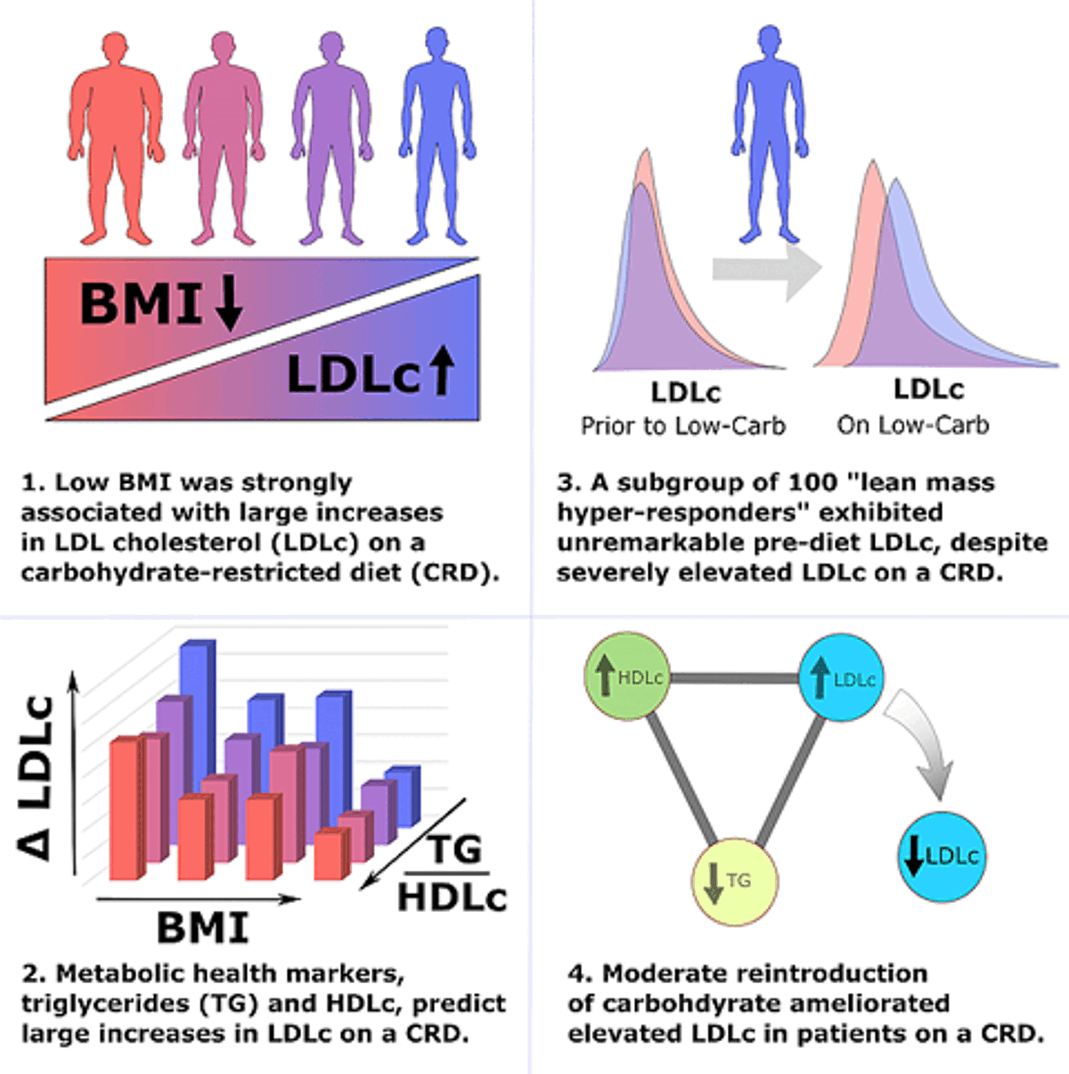 Support for the Existence of Lean Mass Hyper-Responders | KetoDiet Blog