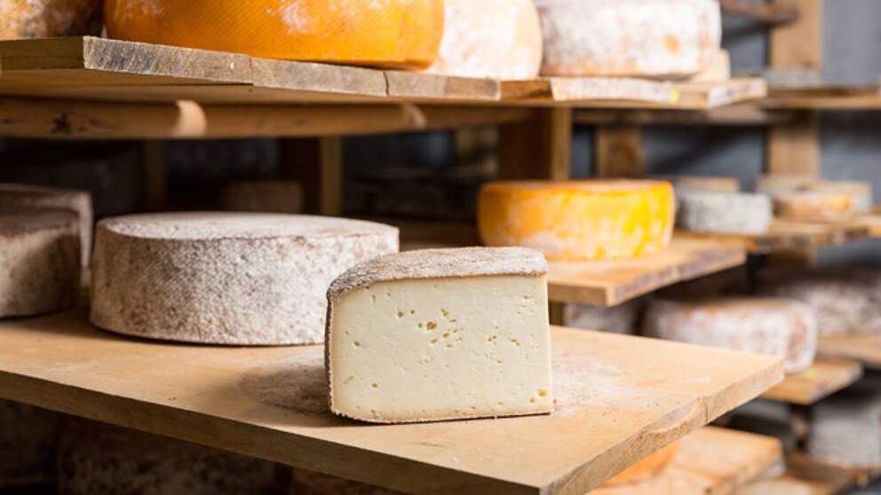 The Science of Cheese: All You Need To Know | KetoDiet Blog