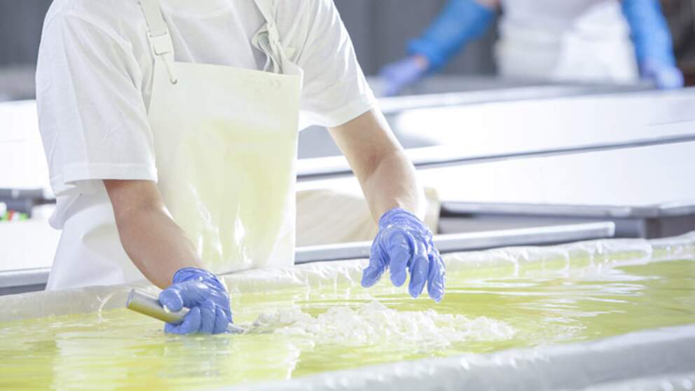 The Science of Cheese: All You Need To Know | KetoDiet Blog