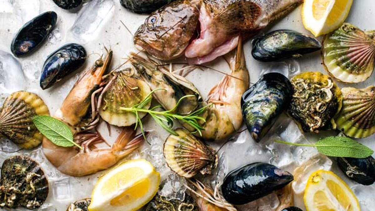 Complete Guide to Healthy and Sustainable Fish & Seafood | KetoDiet Blog