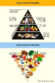 The Pyramid Just Flipped: Why the New "Real Food" Guidelines Change ...