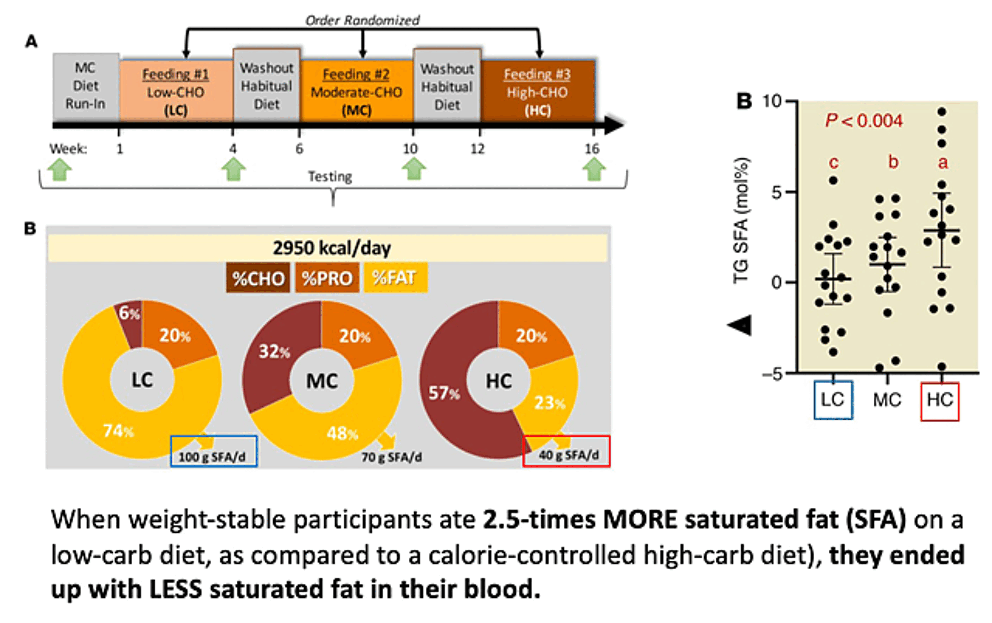 Aren’t Saturated Fats Bad For You? | KetoDiet Blog
