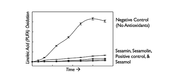 Sesame Seeds & Oil: Surprising Science of Sesame | KetoDiet Blog