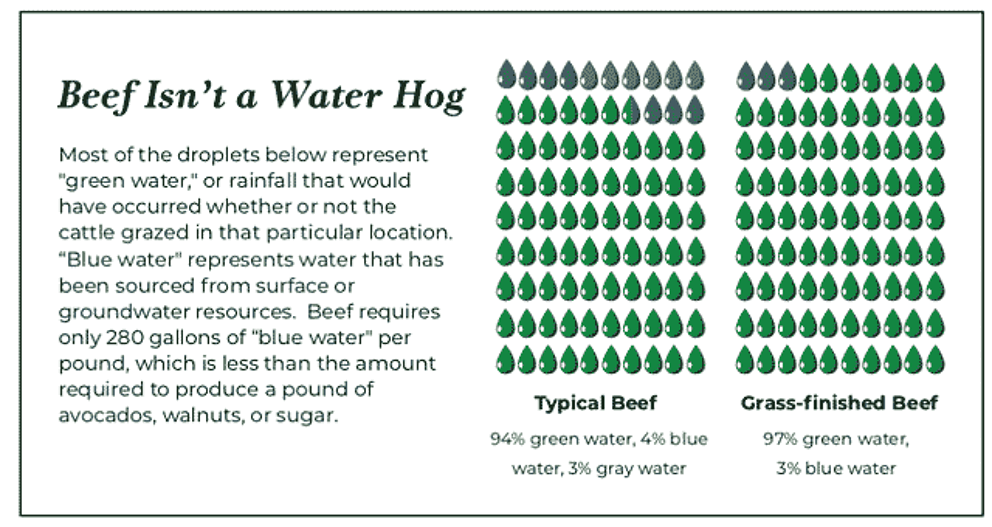 Is Meat Bad For the Environment? A Critical Review | KetoDiet Blog